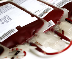 Blood Bag Labels